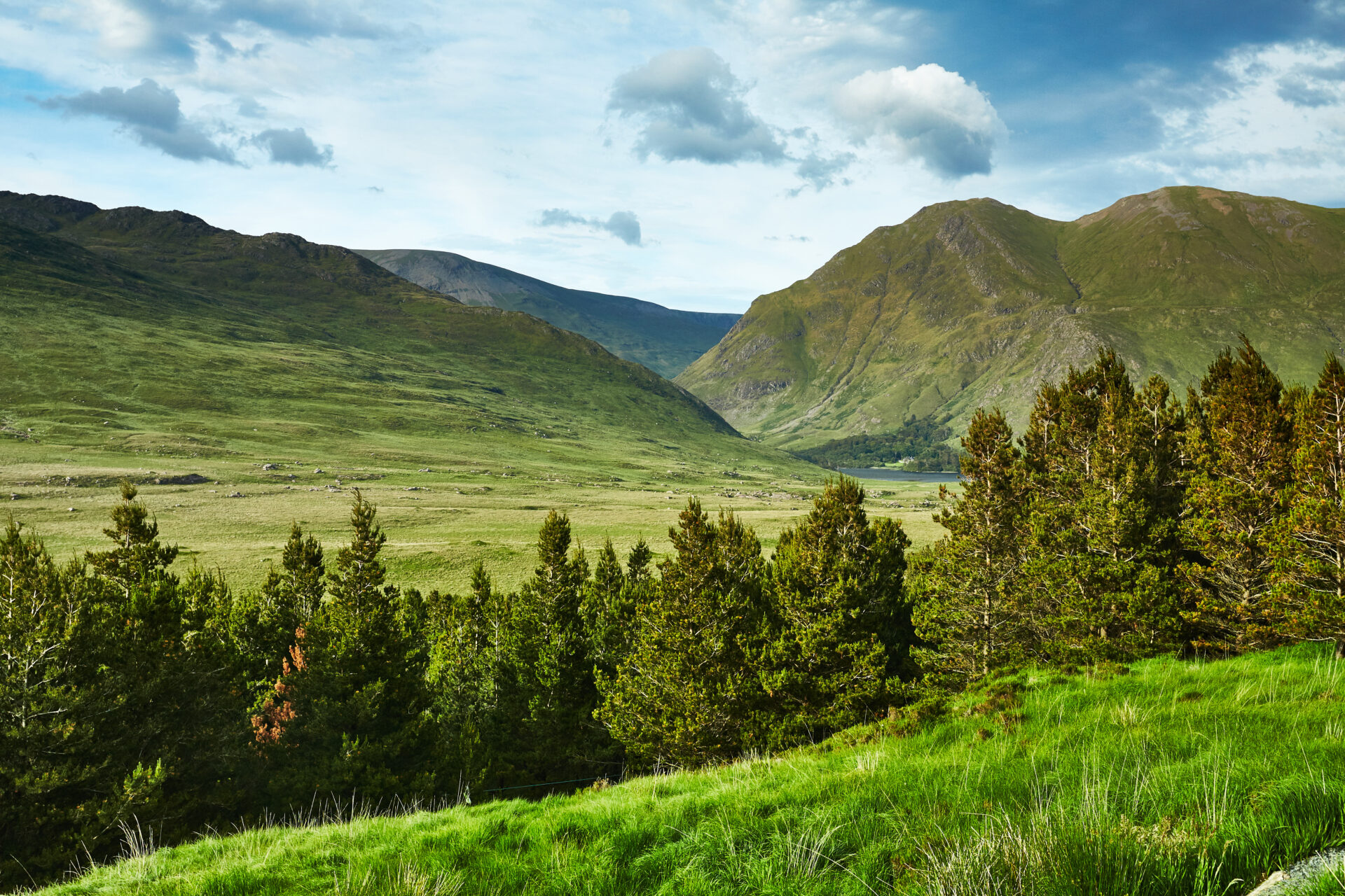 Discovering Ireland: A Journey Through its Culture, Traditions, Food ...
