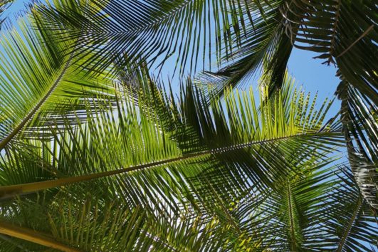 Best Travel Retreats in the World | True Nature Travels