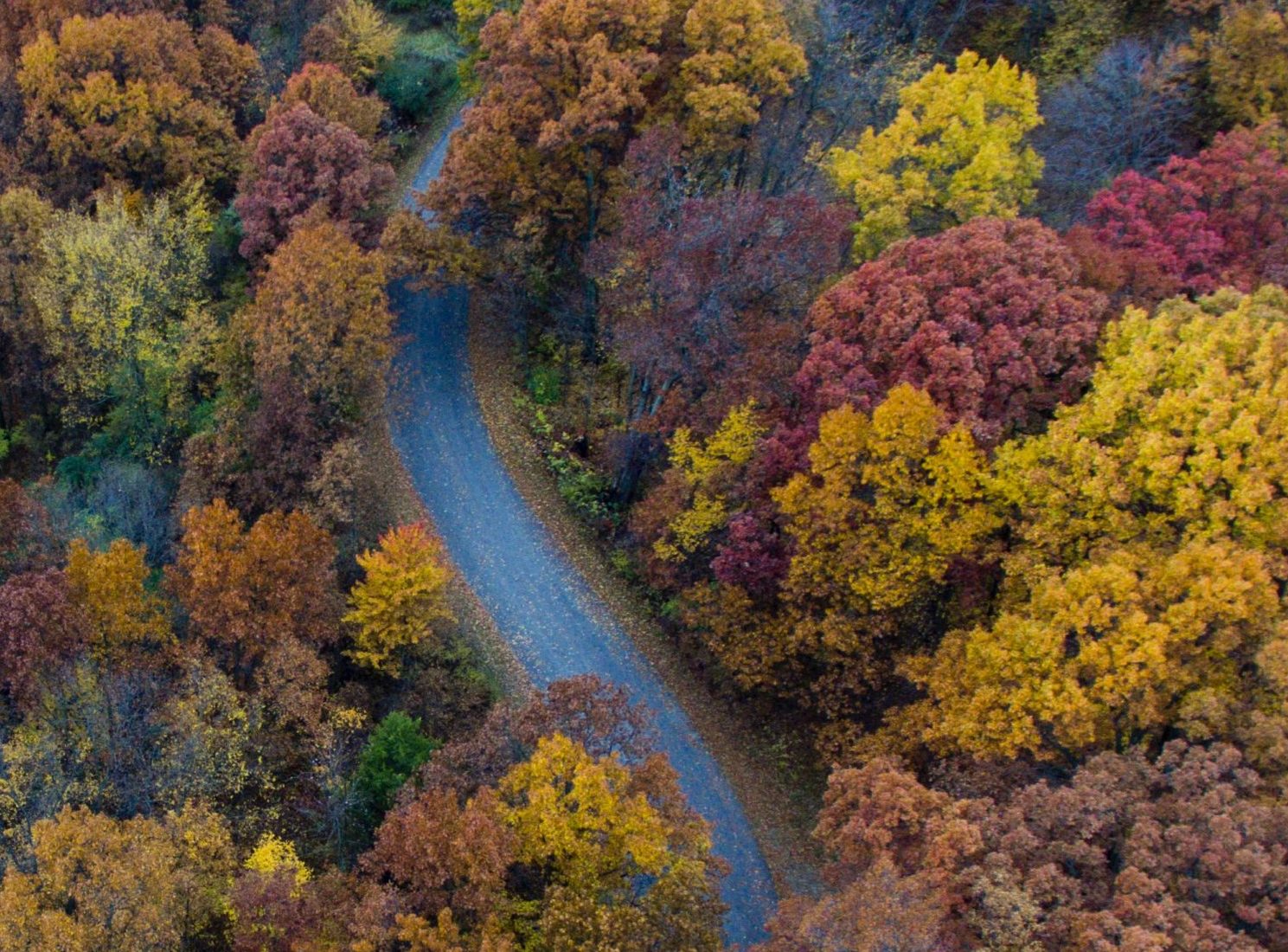 The Season of Change: 5 Tips for Making the Most out of Autumn - True ...